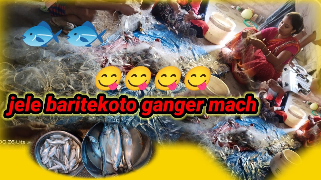 sokalbela sobai mile jal theke mach charate holo(Ganga fish 🐠🐠🐠) - YouTube