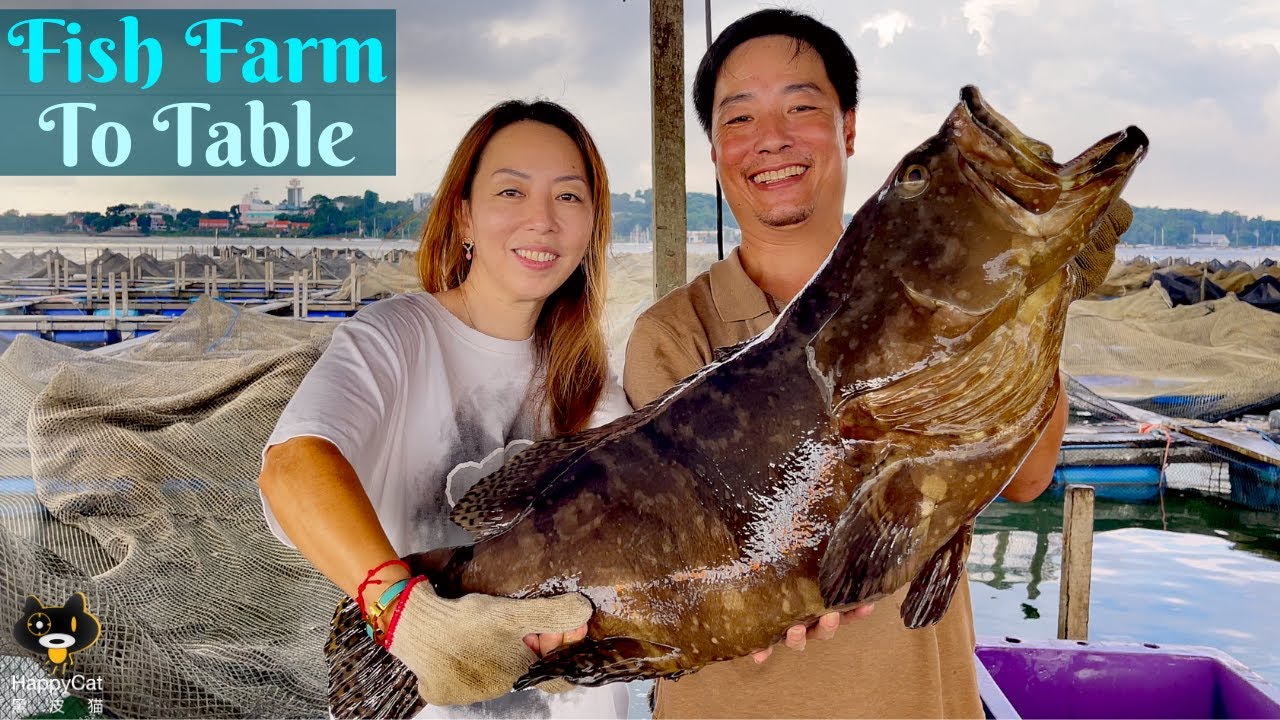 Have you been to a fish soup stall with its own grouper fish farm ...