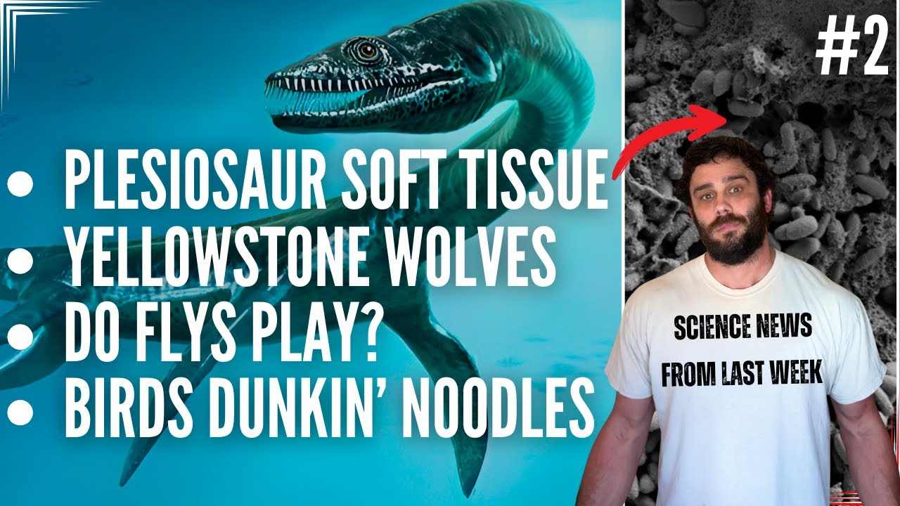 Plesiosaur Soft Tissue. Cloning Monsters & More New Discoveries - YouTube
