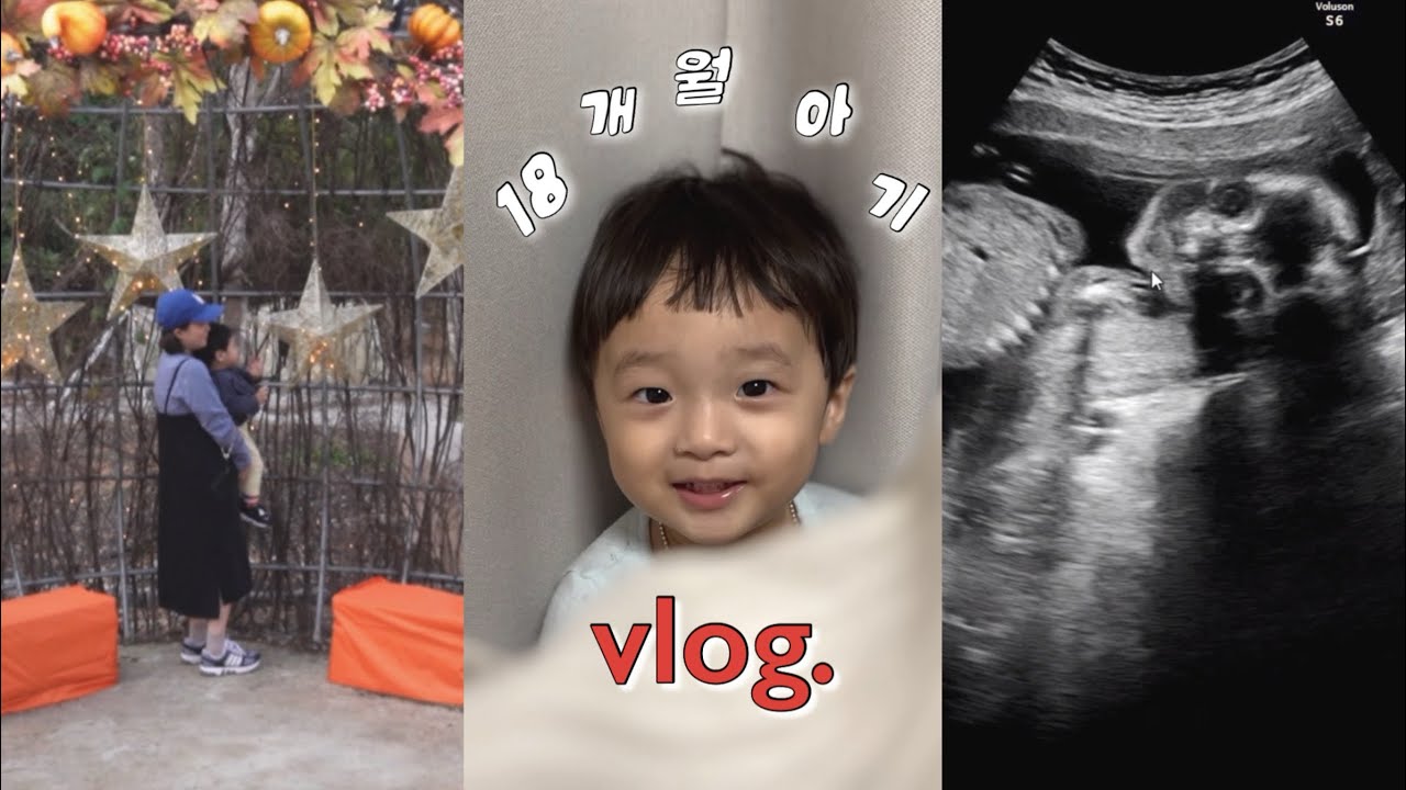 육아and둘째임신브이로그ㅣ18개월 아기의 일상 유아식 만들기잡채 밥새우계란찜 아기랑 갈만한 카페 임신 20주 증상and초음파