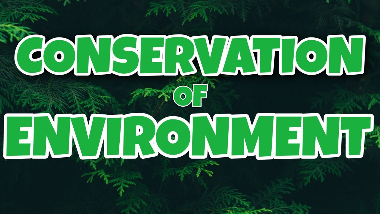 Conservation Of Environment Our Environment Environmental conservation-of-environment-our-environment-environmental