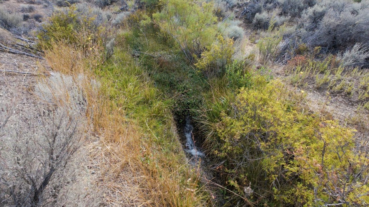 Hidden Desert Spring Creates MASSIVE Water Flow in Middle of Nowhere ...