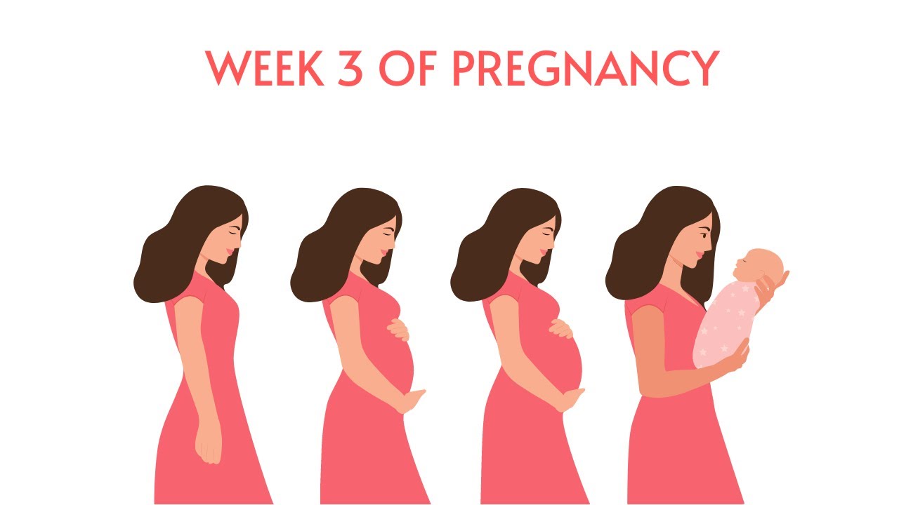 What to Expect During Week 3 of Pregnancy: Symptoms, Tips, and More ...