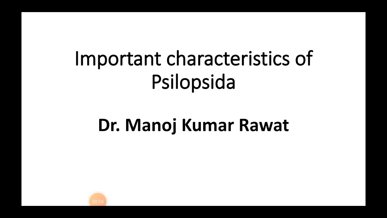 BSc Pt l Botany General character of Psilopsida - YouTube