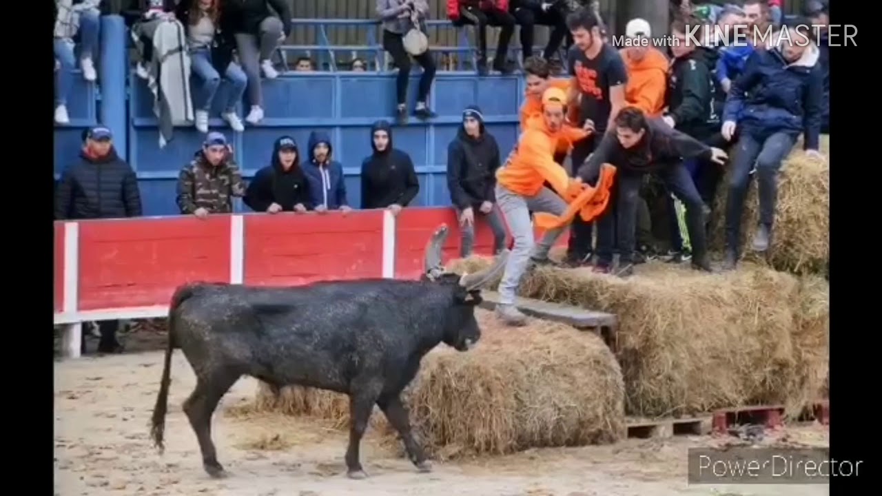 Action de Nathou - YouTube