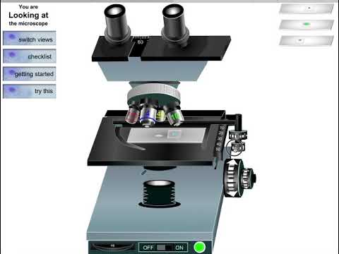 Partes do microscopio e o seu uso - YouTube