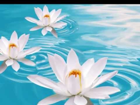 The Merit White Lotus Sutra ปุณฑริกสูตร mp3 - YouTube