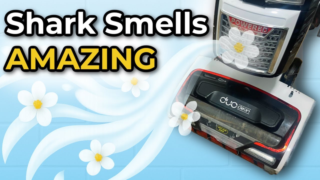 My Shark Vacuum Smells AMAZING… Instantly! - YouTube