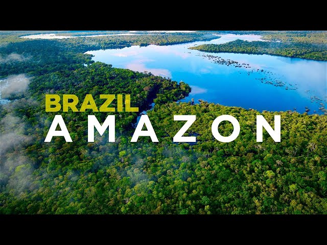 How Big Is The Amazon Rainforest In Brazil - Infoupdate.org