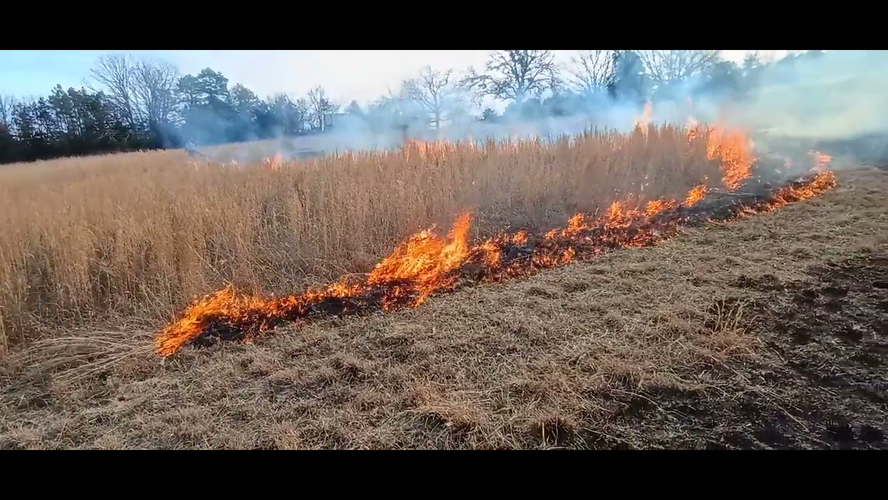 It's Pasture Clearing Time Again! Burning Off The Fields 1 27 2025 ...