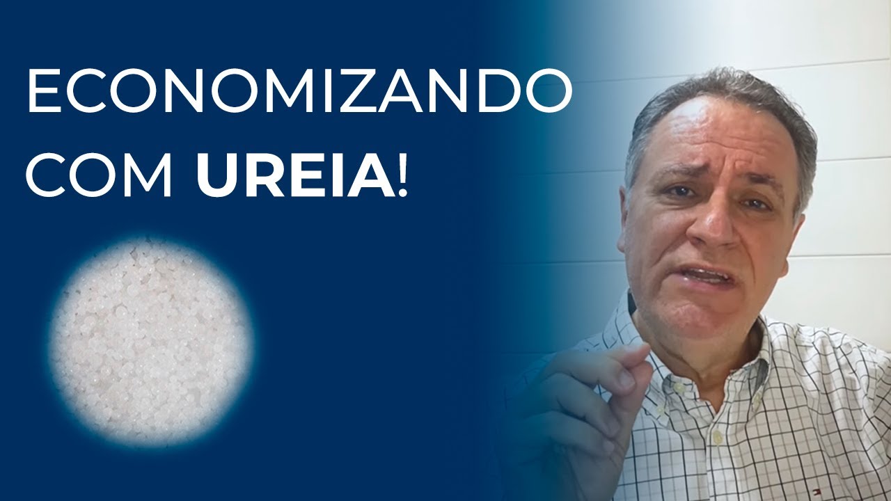 Impactos financeiros com o uso de ureia! - YouTube