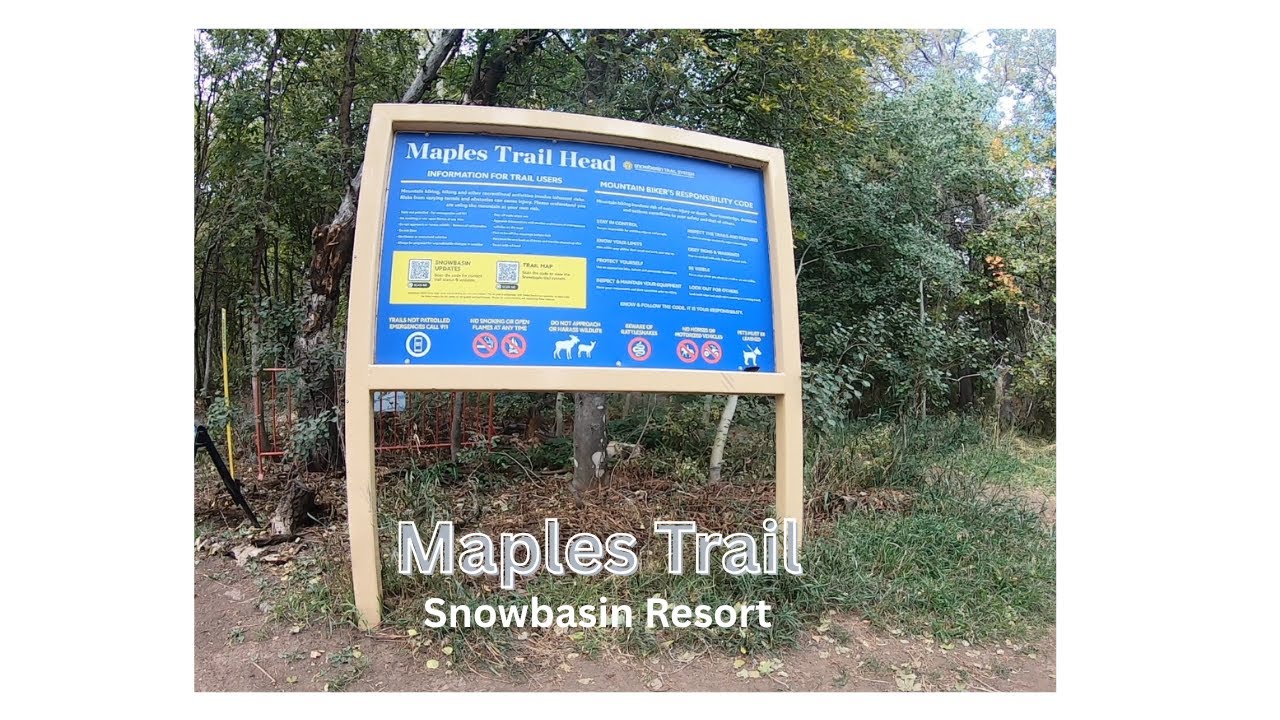 Maples Trail - Snowbasin - Easy MTB Full Trail Ride Video - YouTube