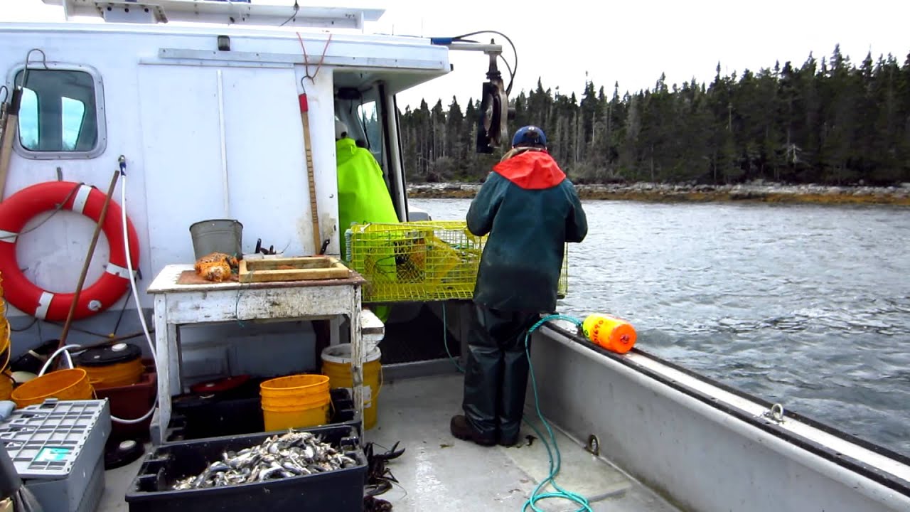Lobster Fishing on the Eastern Shore - YouTube