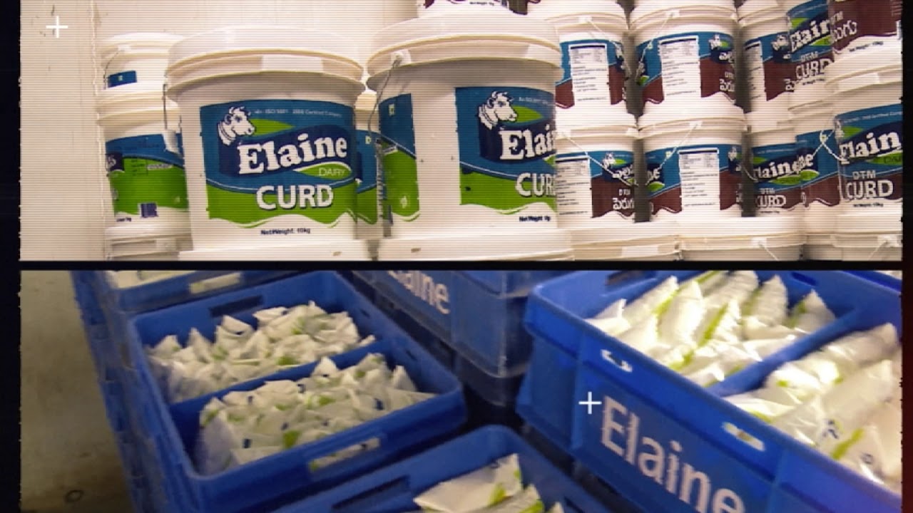 ELAINE DAIRY MILK AND MILK PRODUCTS - YouTube