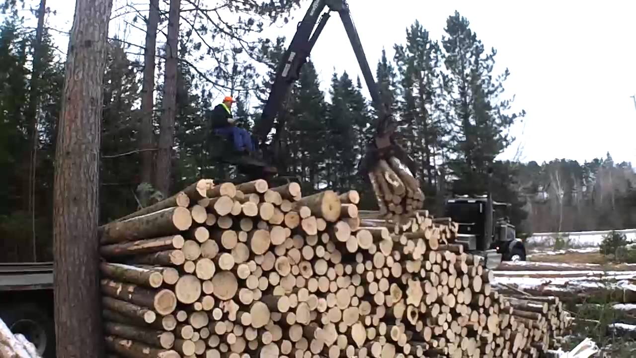 Logging: Trucking - YouTube