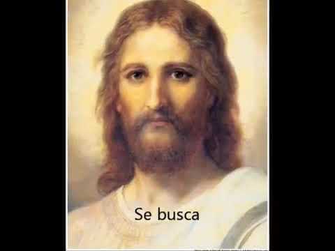 SE BUSCA A JESÚS - YouTube