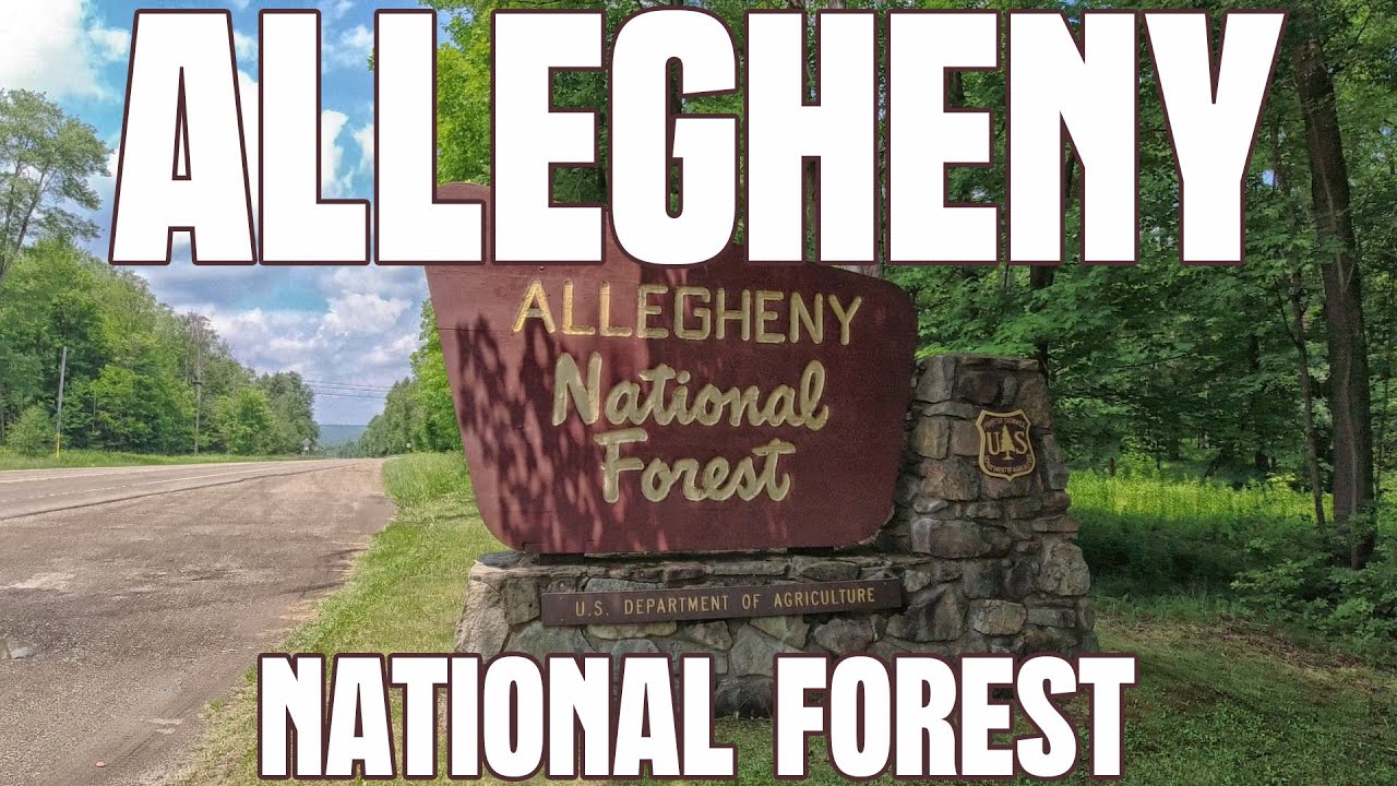 Allegheny National Forest Sign