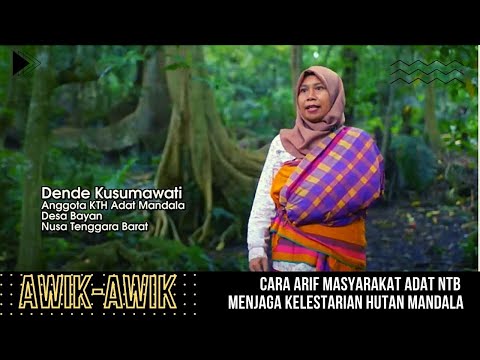 Awik awik Cara Arif Masyarakat Adat Menjaga Hutan Lestari di NTB