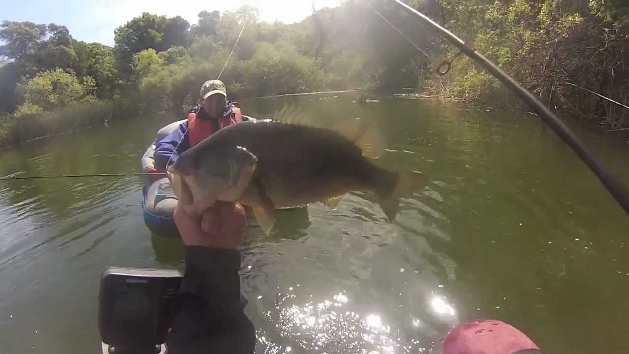 Big Bass On Beds - YouTube