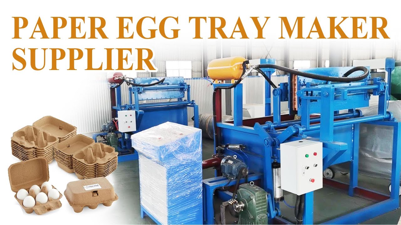3000pcs/h Paper Egg Tray Making Machine Working Process Display - YouTube
