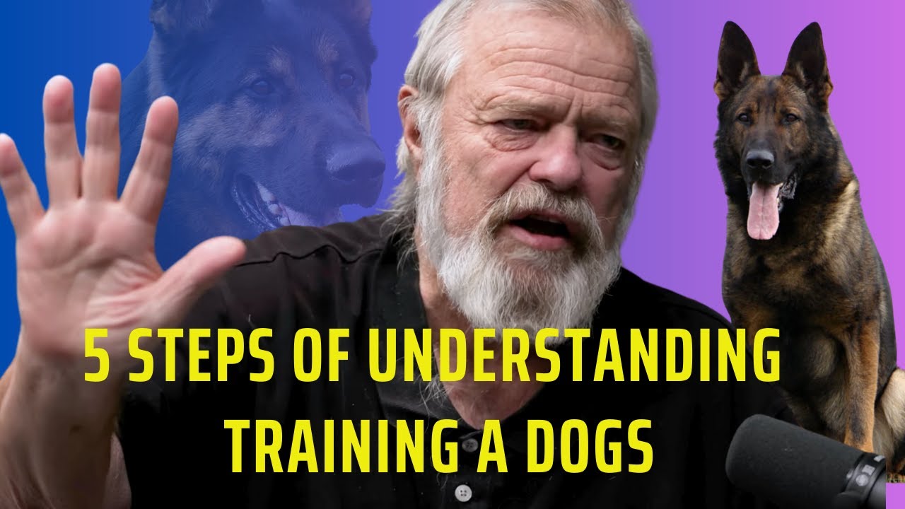 5 Steps of Understanding Training a Dogs - YouTube