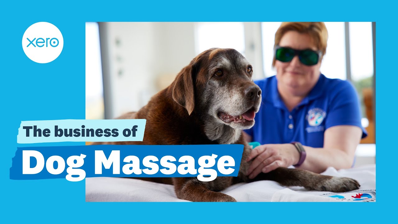 The Business of Dog Massage | Xero Customer Stories - YouTube