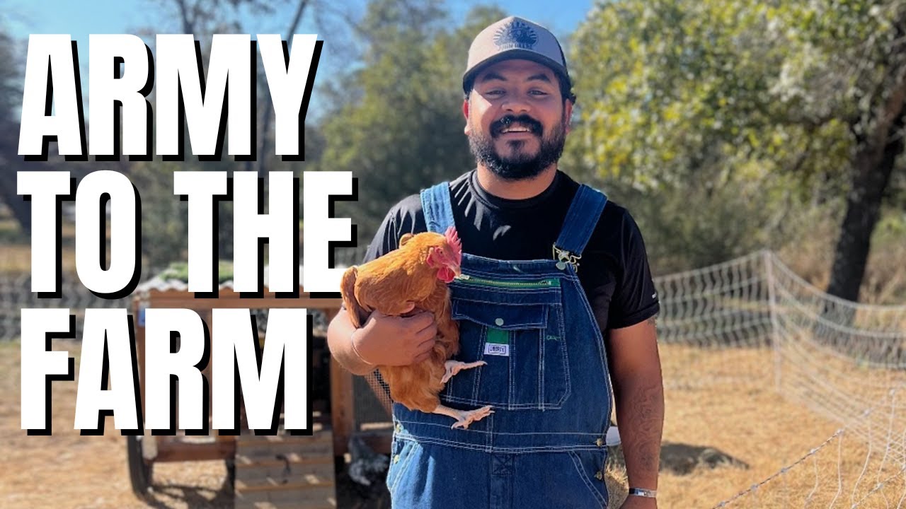 Why This Army Vet Is Raising Chickens in Texas - YouTube