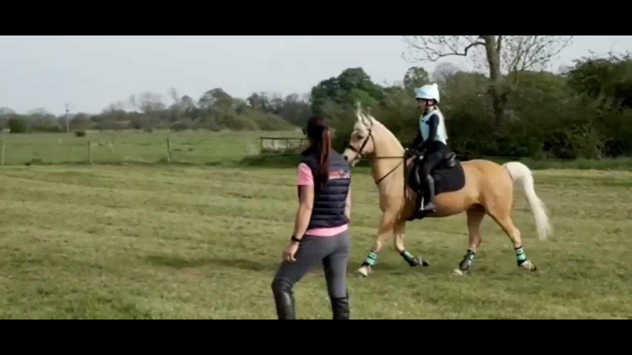 First Video! | Dream Pony Popcorn - YouTube