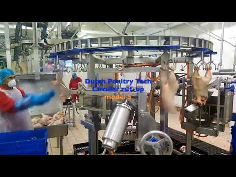 Dutch Poultry Tech circular cut up line 1.0 2000bph - YouTube