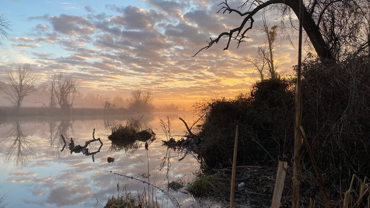 Replacement MoJo Decoy Poles - DIY - YouTube