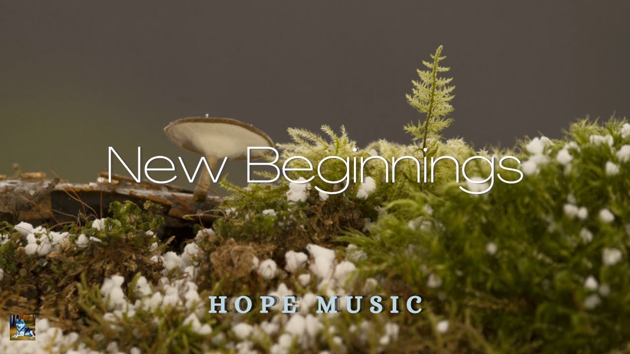 New Beginnings | Hopeful, inspiring and relaxing music for when you ...