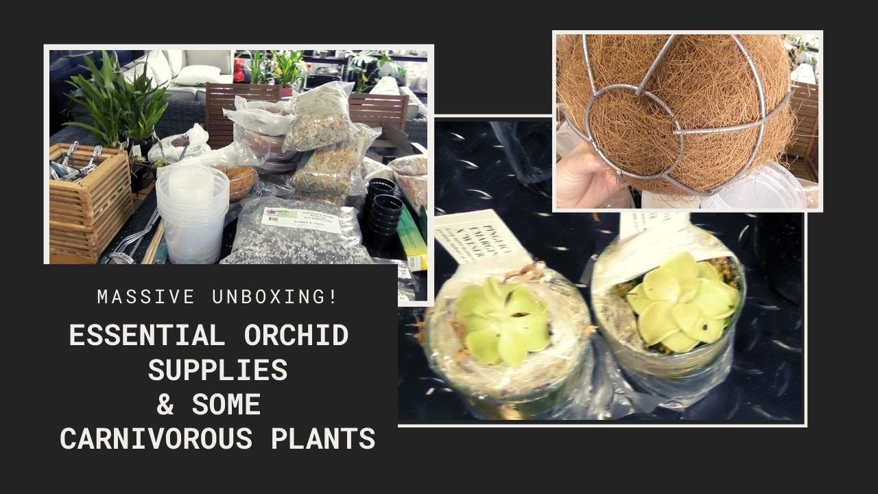 Stanhopea Baskets // My Favourite Sphagnum // OrchidDen Supplies - YouTube