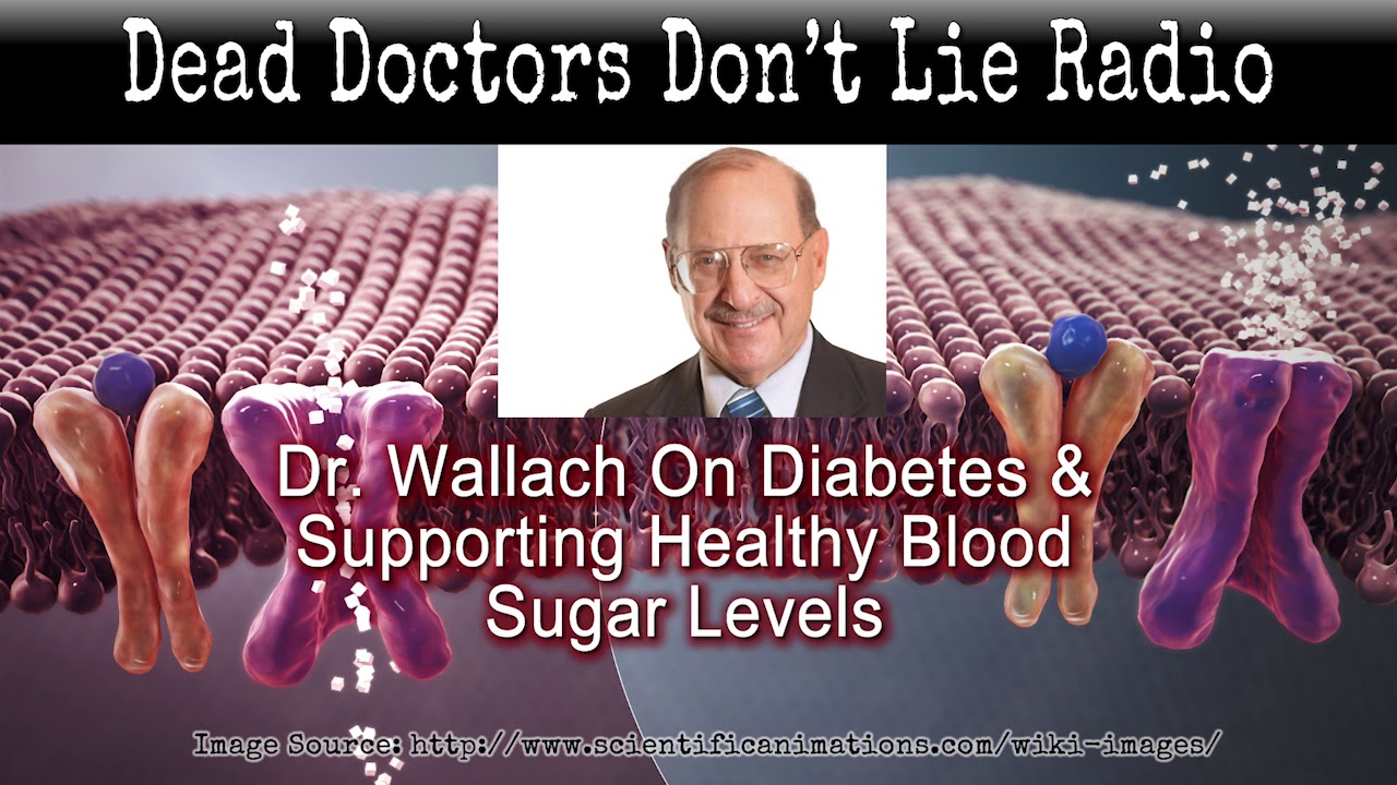 Dr. Joel Wallach: Type 2 Diabetes - Supporting Healthy Blood Sugar ...
