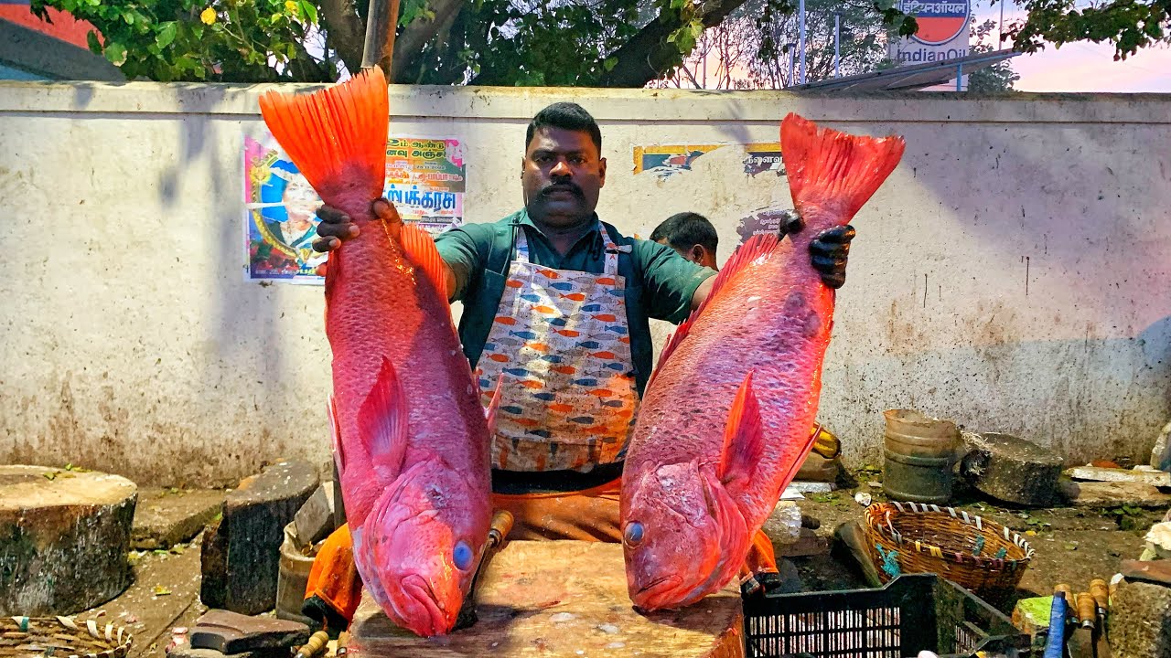 4K ULTRA HD | KASIMEDU BULLET SPEED SELVAM🔪16 KG RED SNAPPER FISH ...