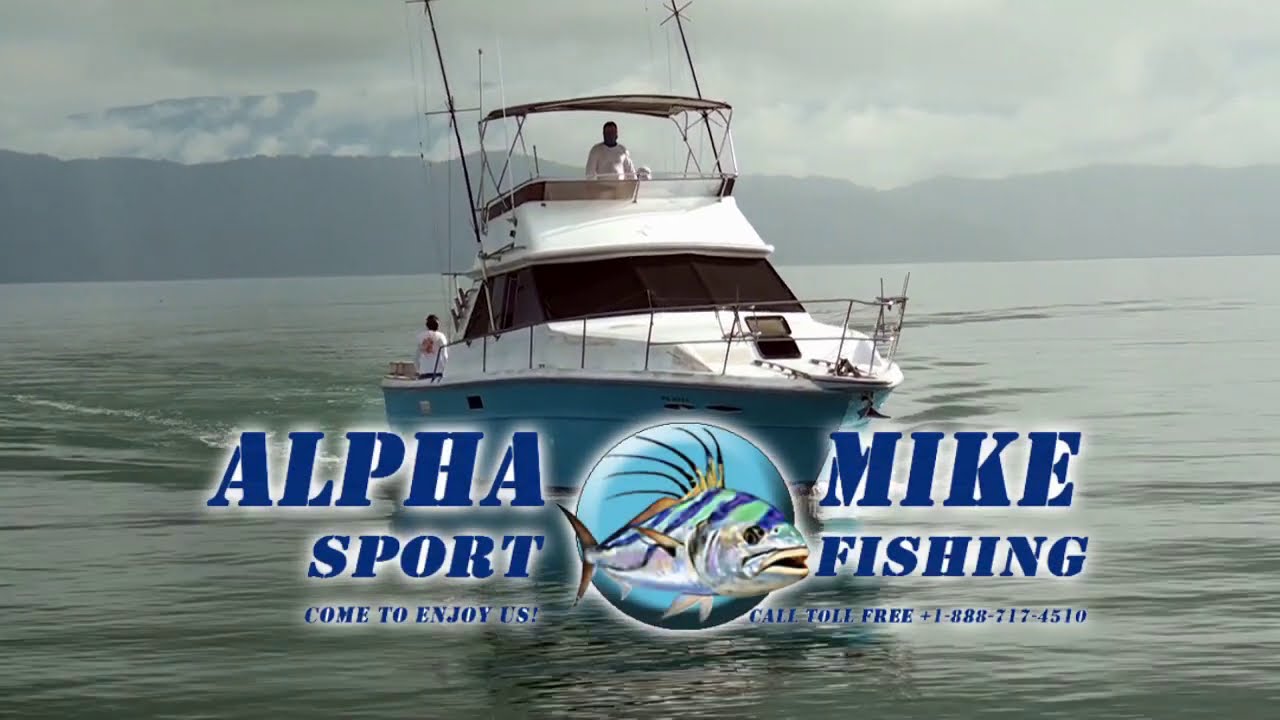 ANUNCIO ALPHA MIKE - YouTube