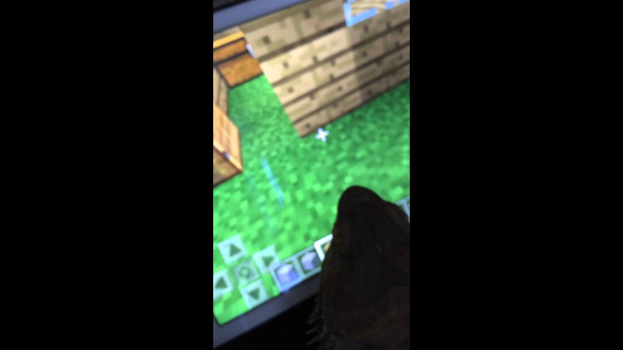 My bearded dragon plays Minecraft - YouTube