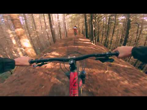 POV Terra Firma | Lismore Forest Wanganui