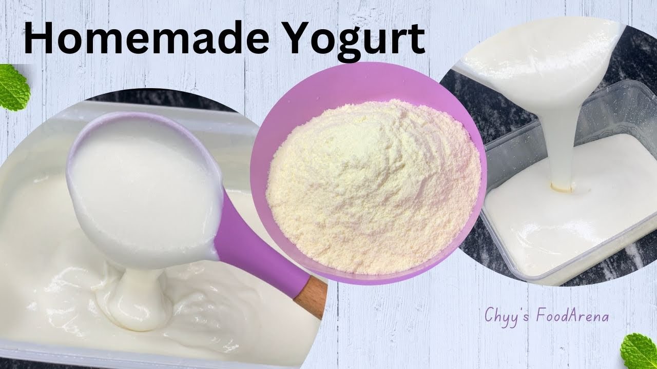 HOW TO MAKE YOGURT AT HOME WITH JUST 2 INGREDIENTS | HOMEMADE YOGURT ...