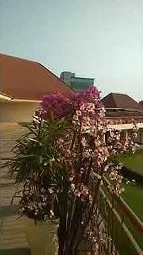 JGC Rawamangun - YouTube