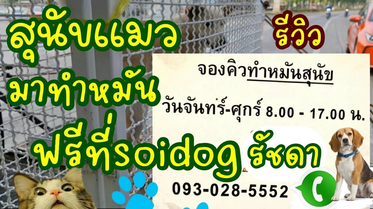 วิธีนัดคิวทำหมันหมาเเมวฟรีที่ซอยด็อก การเดินทางมาที่soi dogรัชดา เเละ ...