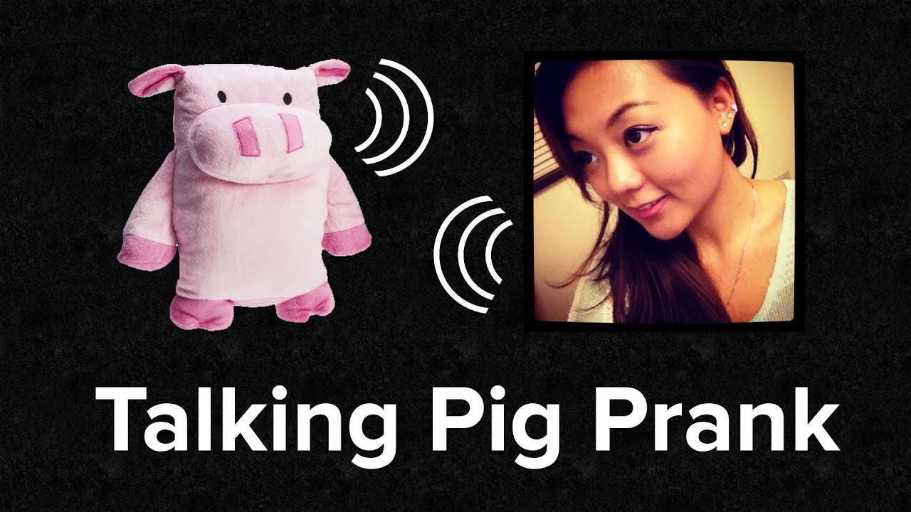 Secret Santa Prank: Talking Toy Pig - YouTube