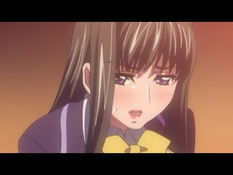 Bikyaku Seido Kaichou Ai | Review Español