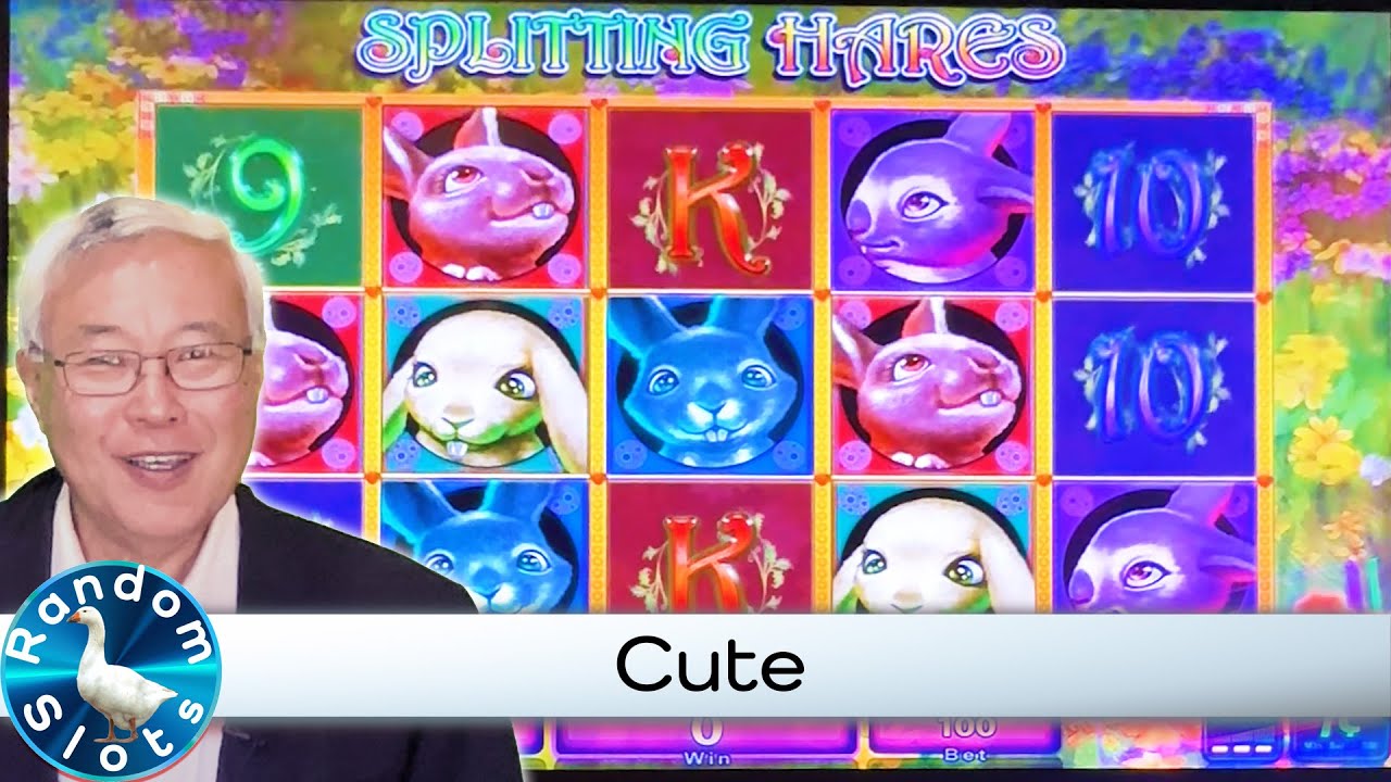 Splitting Hares Slot Machine - YouTube
