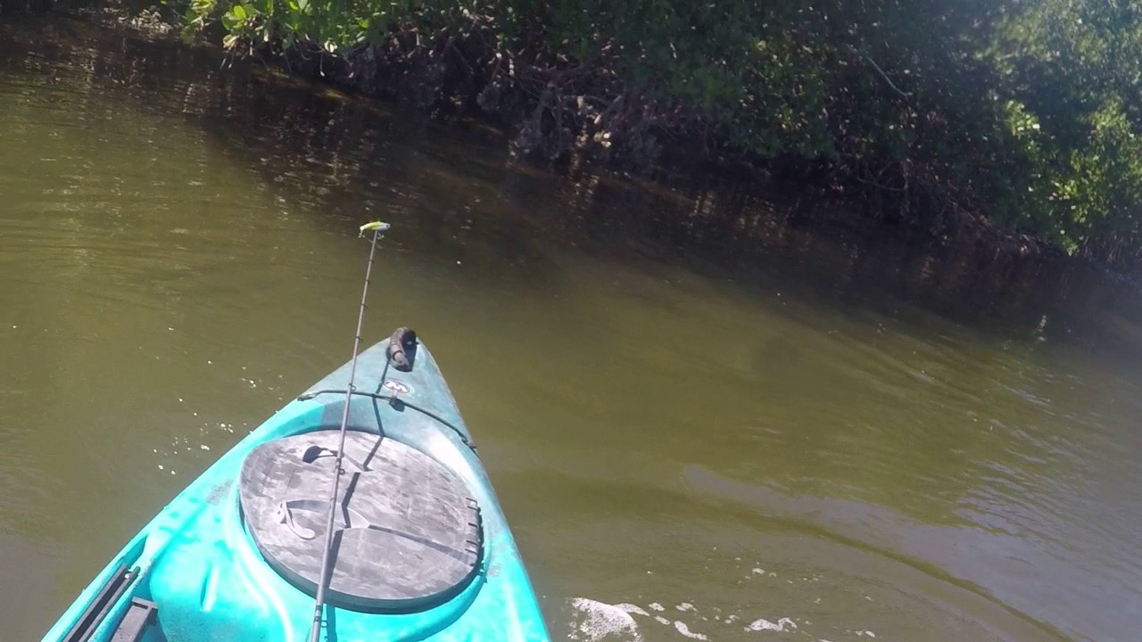 Big hog snook great jumping battle - YouTube