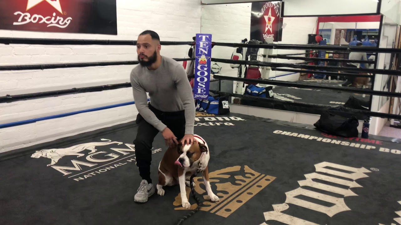 Lol this boxer loves eating Vaseline - YouTube