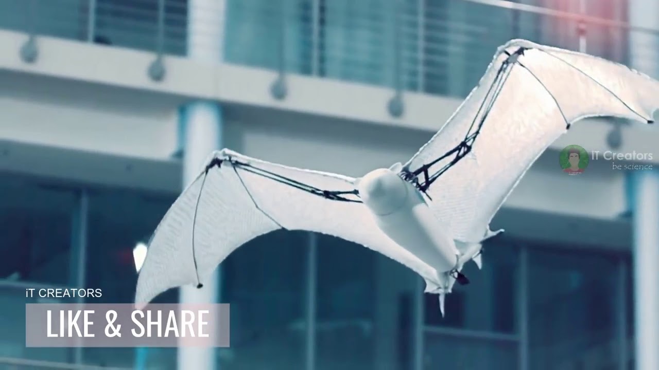 5 AMAZING ROBOTIC DEVICE INVENTION Robot Bird Can Really Fly - YouTube