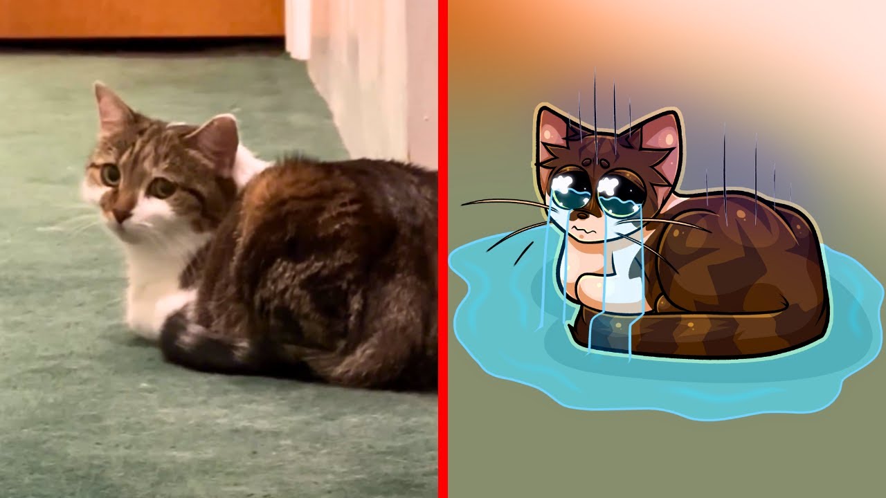 When Your Cat is a Little Dramatic - YouTube