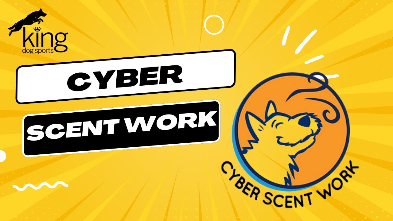 Cyber Scent Work Interview with Dianna Santos - YouTube