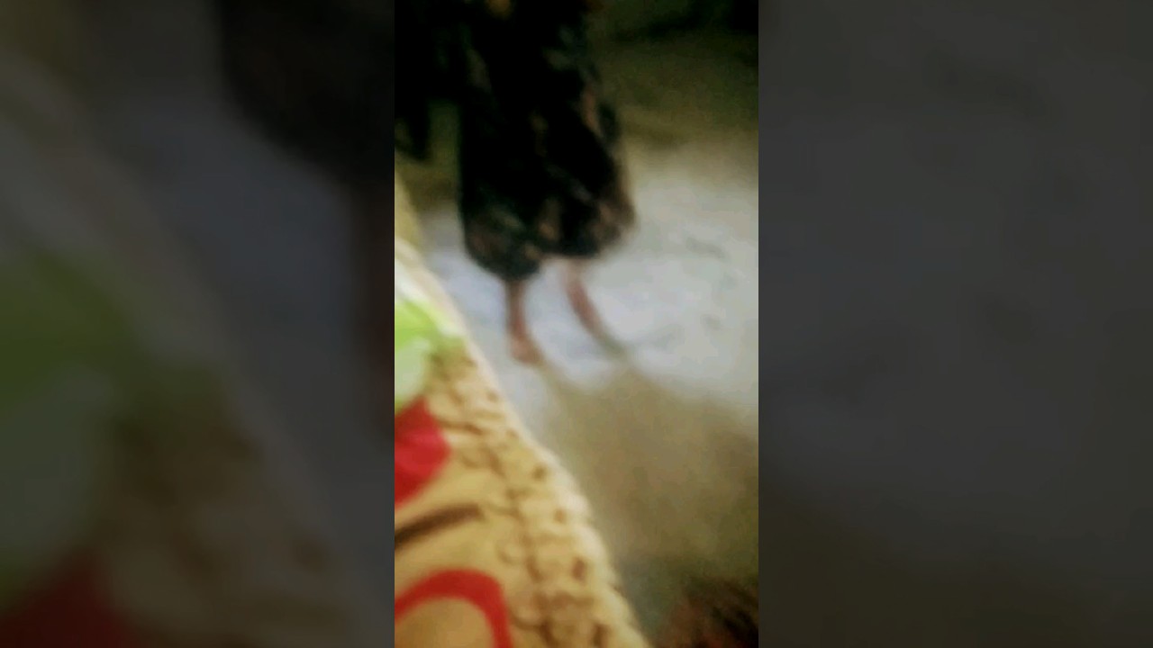 19 February 2024 - YouTube