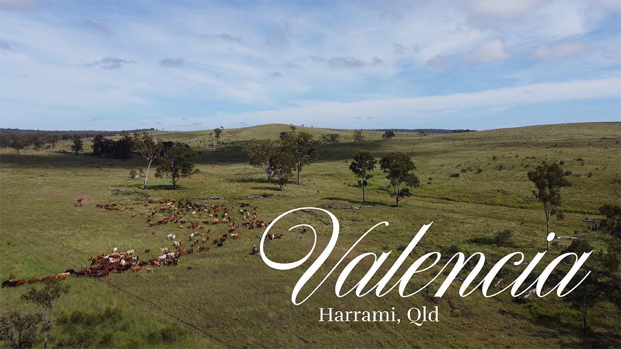 ‘Valencia’, 1164 Camboon Rd, Harrami, Qld - YouTube